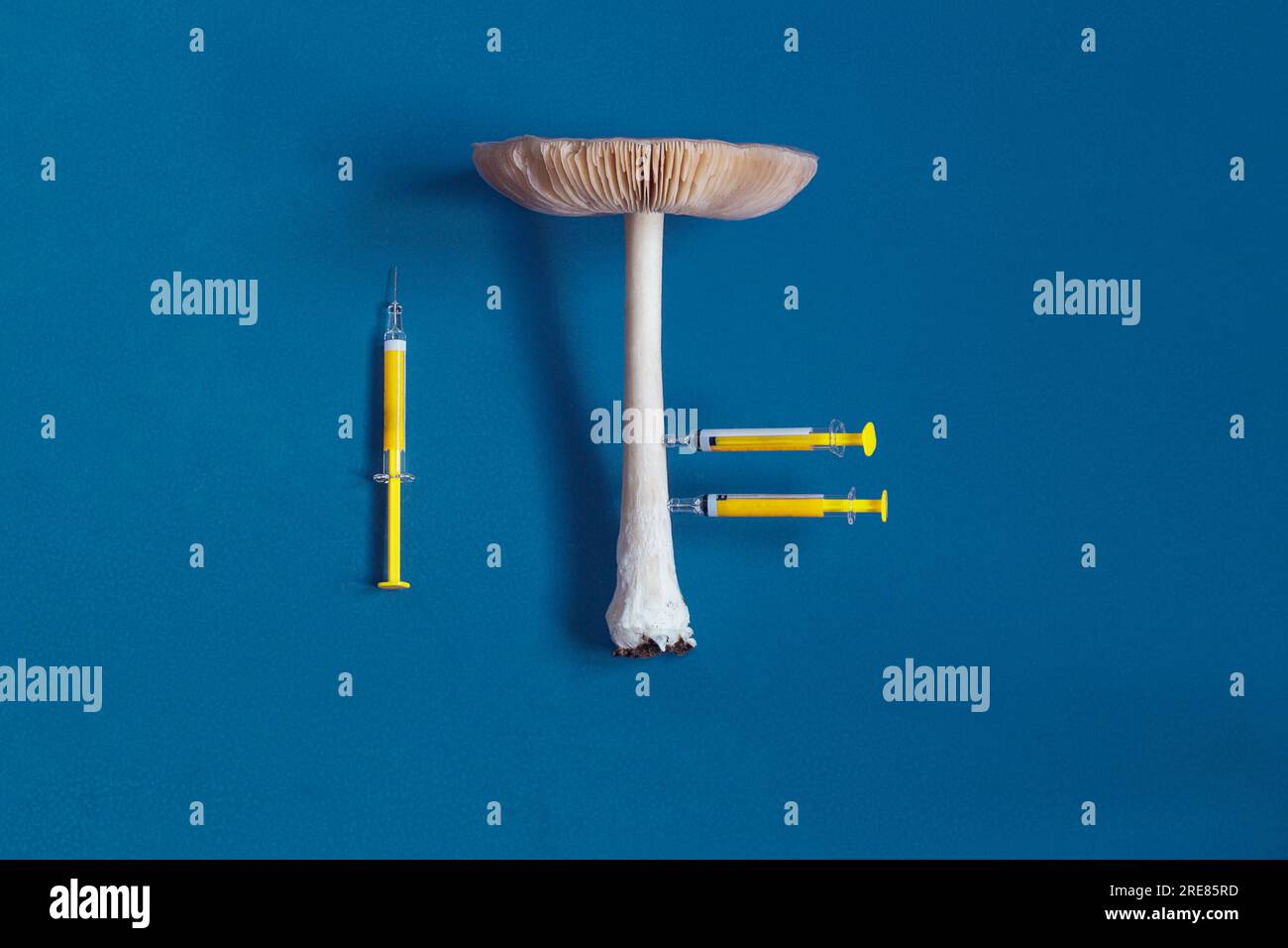Medical mycology hi-res stock photography and images - Alamy