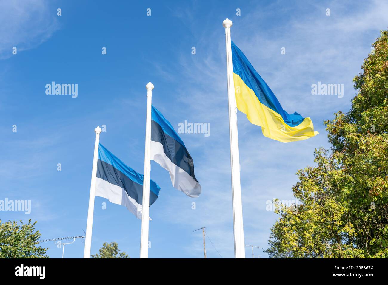 Ukrainian and Estonian flags together on flag poles waving in wind ...