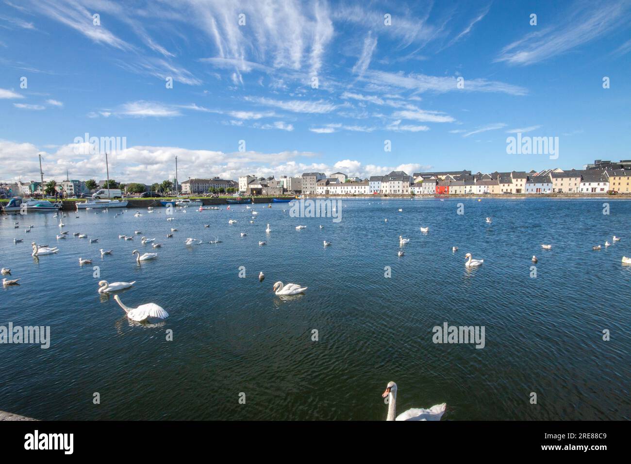 Galway races historic hi-res stock photography and images - Alamy