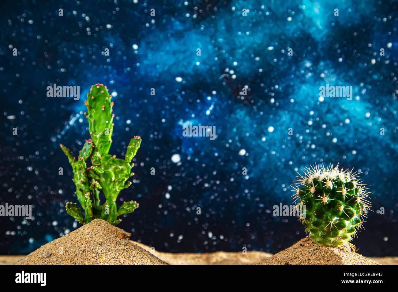 Two cacti in the sand. Desert simulation. Night starry sky background Stock Photo - Alamy
