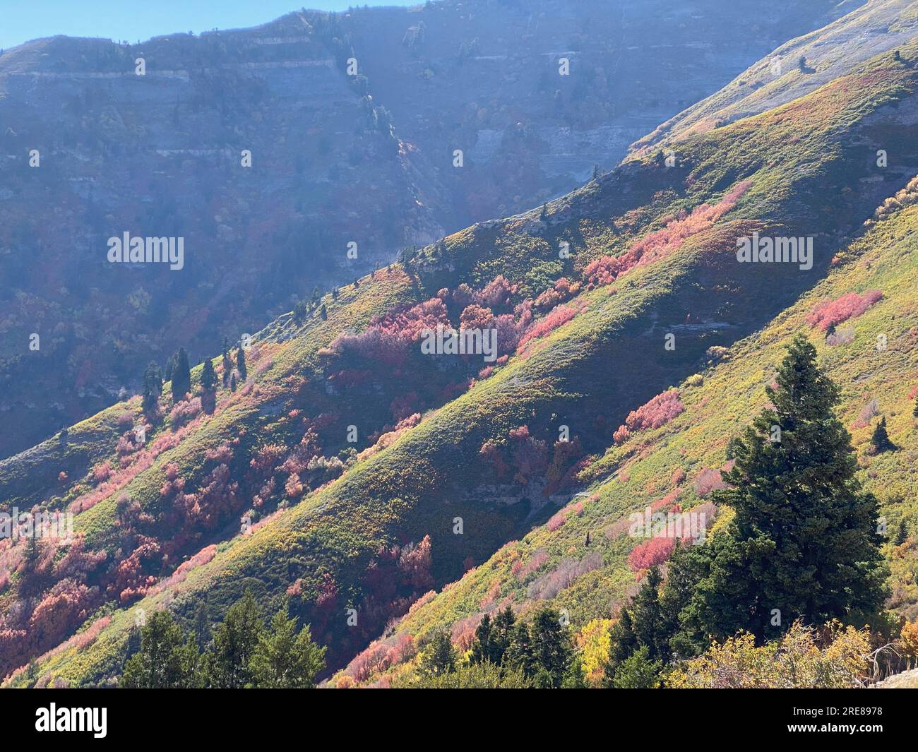Colorful Fall Foliage in Wasatch Mountains, Sundance, Utah, USA Stock ...