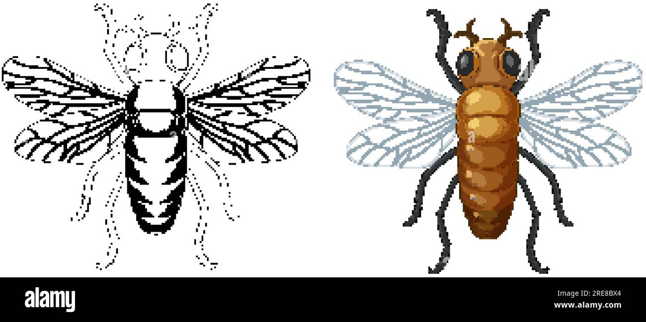 Bee Insect Outline for Colouring illustration Stock Vector Image & Art ...