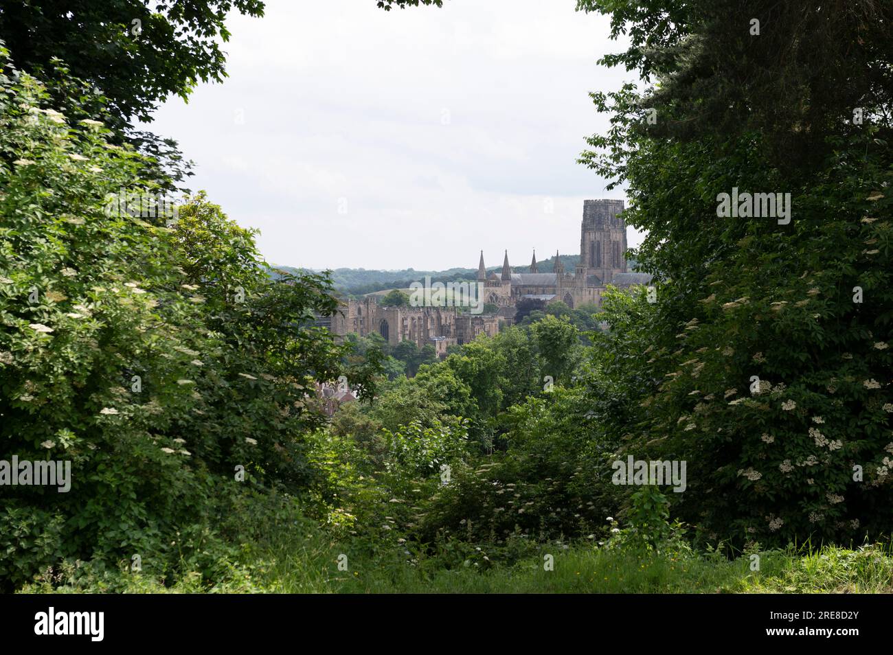 Durham viewed from the hillside through the trees Stock Photo - Alamy