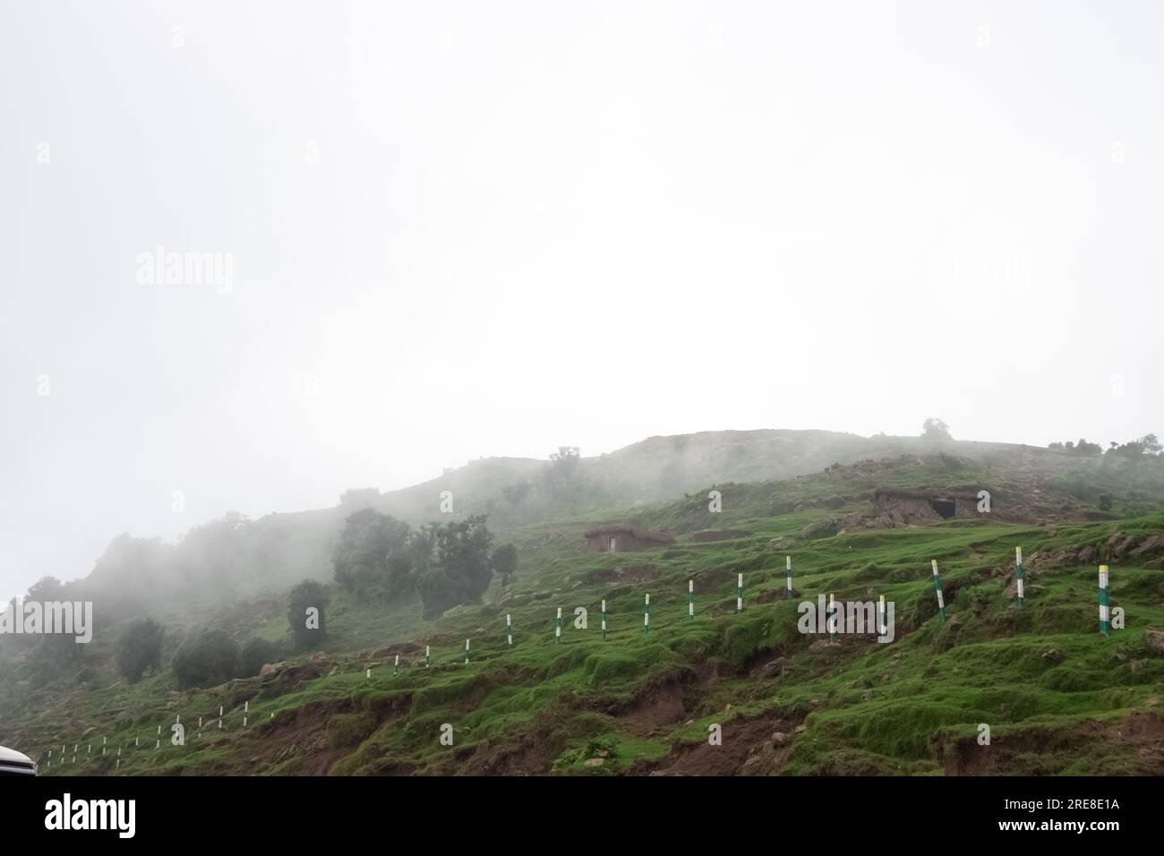 Foggy landscape in the jungle. Fog and cloud mountain tropic valley ...