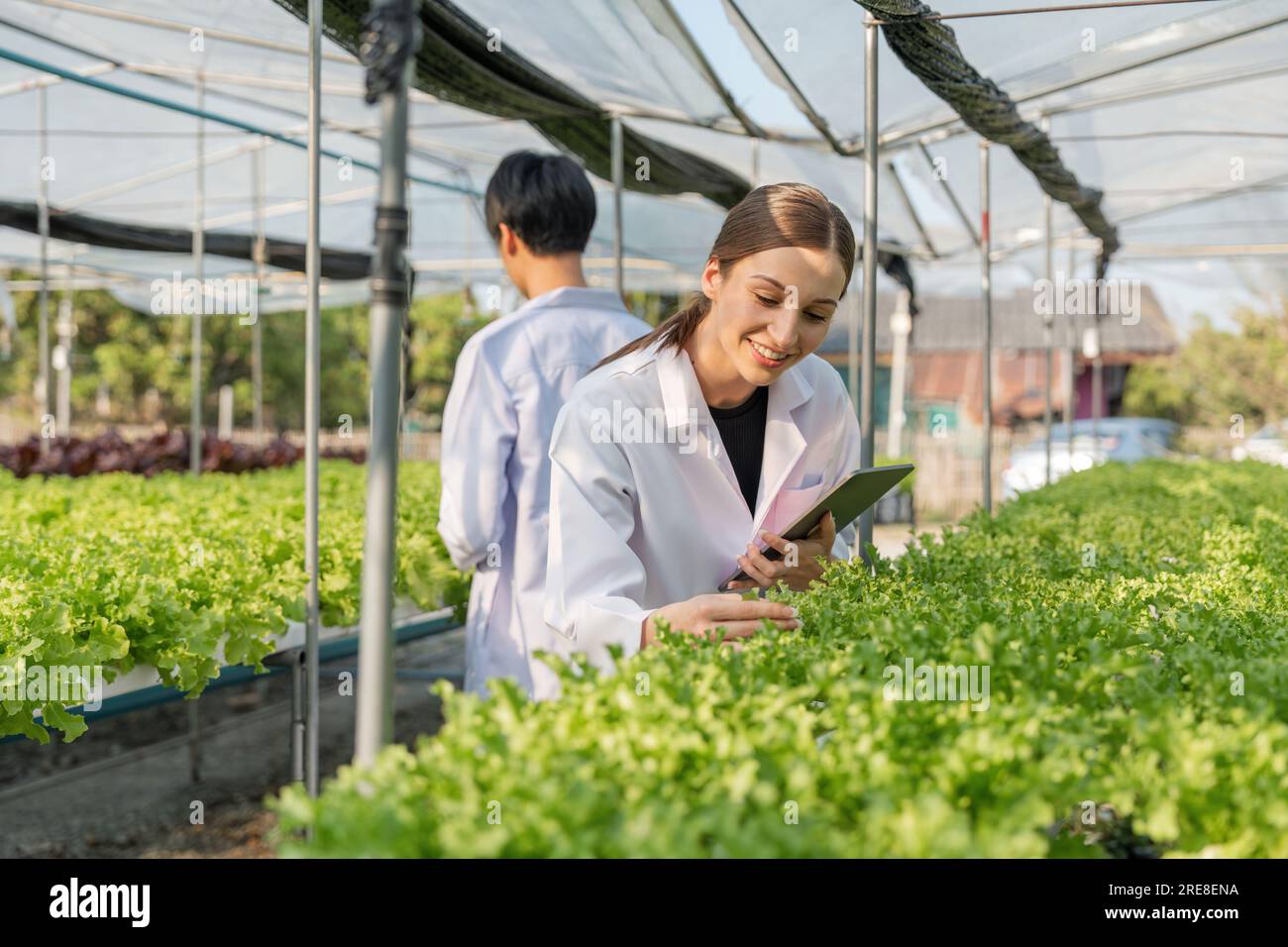Biologist in test for laboratory analyze. Two scientists stand in ...