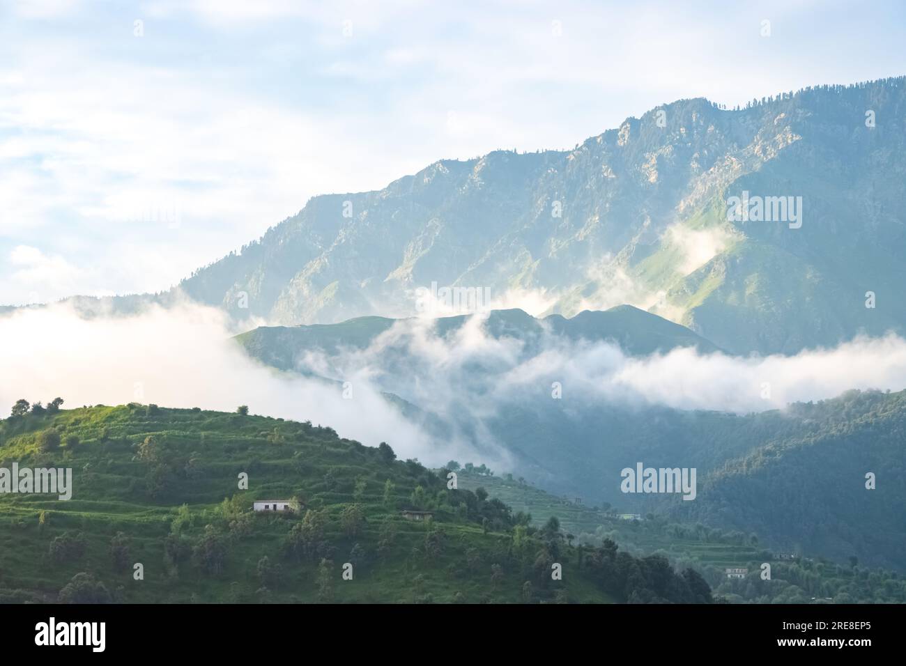 Foggy landscape in the jungle. Fog and cloud mountain tropic valley ...