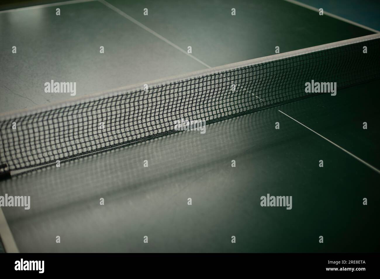 Grid above table. Table tennis table. Net in tennis. Ping Pong Game ...