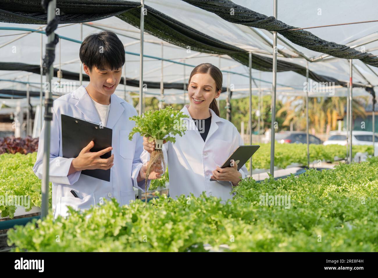 Hydroponics farm concept, Scientist team testing and collect data from ...