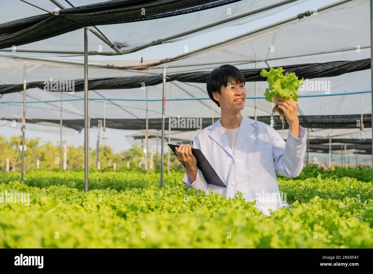 Asian male agricultural researcher holding clipboard and vegetable ...