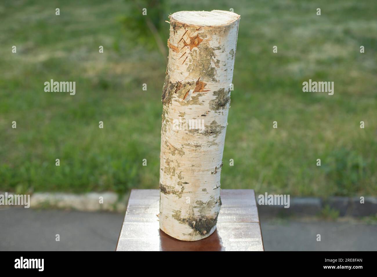 Birch log. Log for felling. Firewood. Tree stump Stock Photo - Alamy