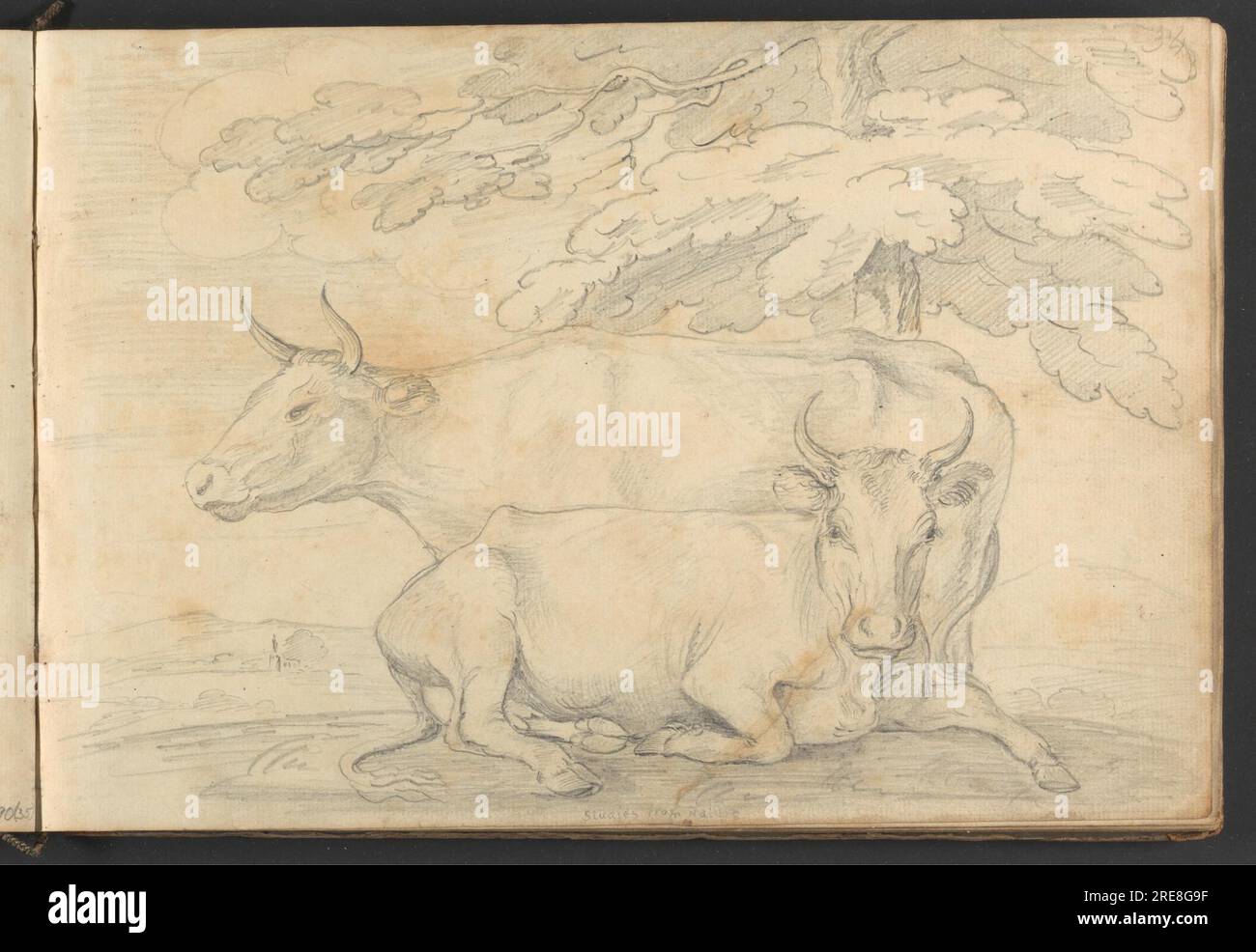 Tow cows hi-res stock photography and images - Alamy