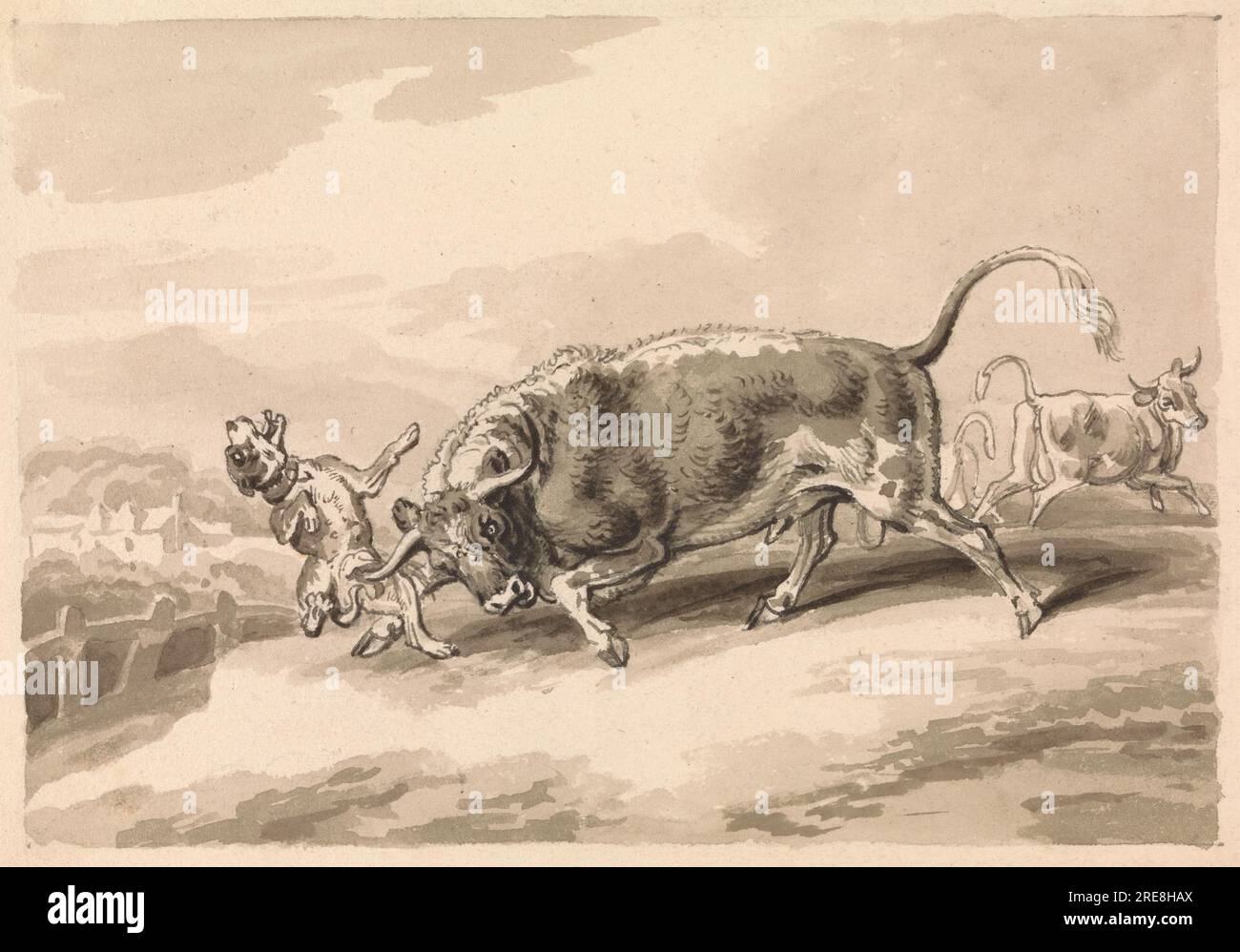 Bull Attacking Mastiff by Samuel Howitt Stock Photo - Alamy