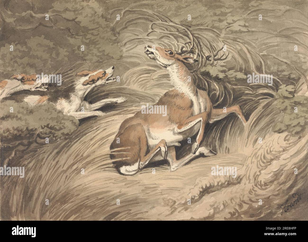 Two Hounds Attacking a Stag at Bay by Samuel Howitt Stock Photo - Alamy