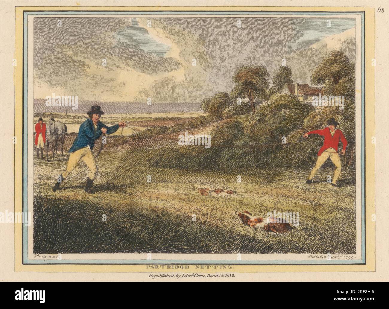 Partridge netting hi-res stock photography and images - Alamy