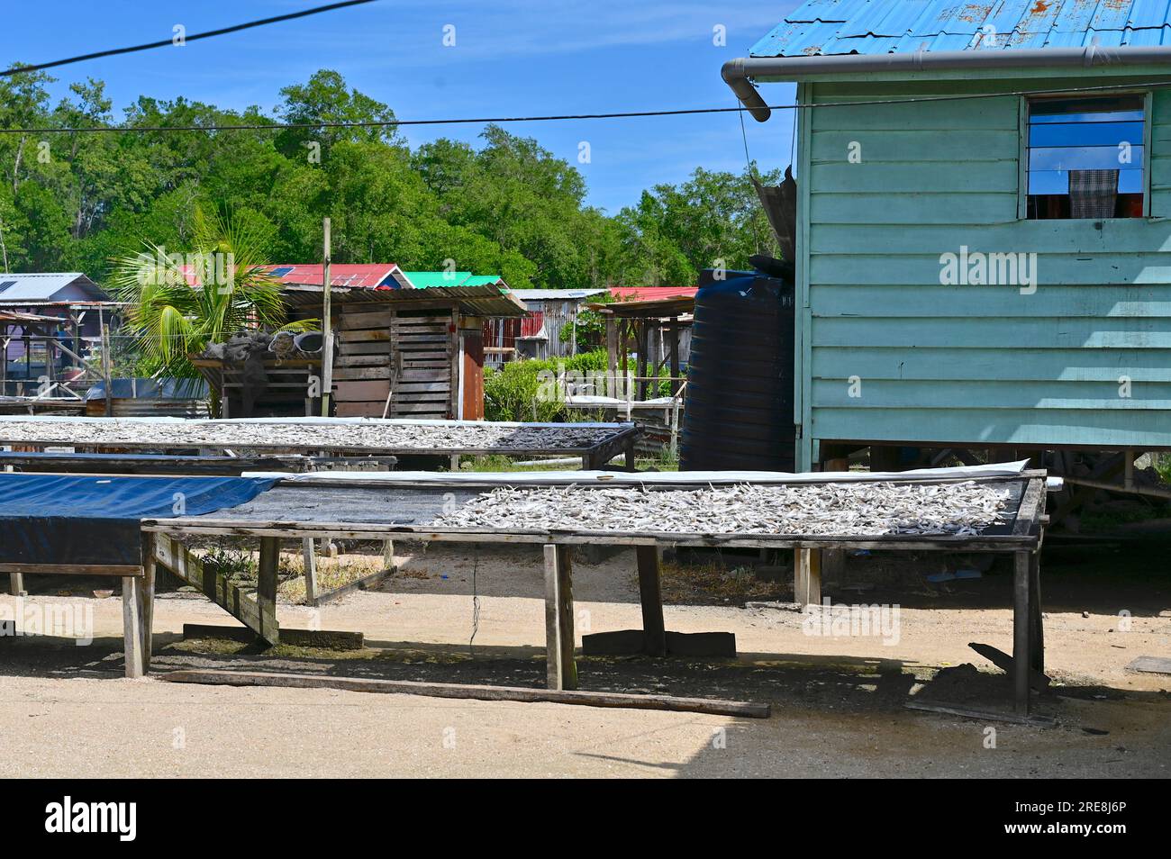 Drying table for shrimps and small fish in the fishing village of ...