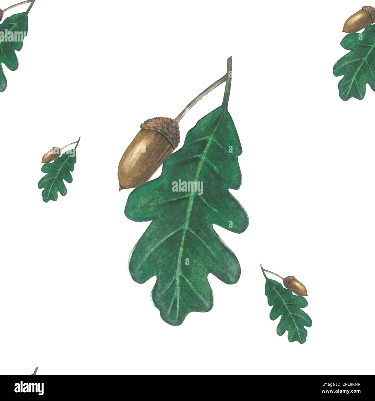 Watercolor illustration of an acorn with a leaf, seamless pattern isolated on a white background ...