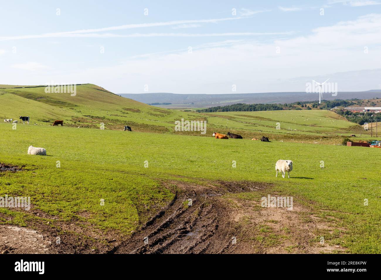 Pennine landscape hi-res stock photography and images - Alamy