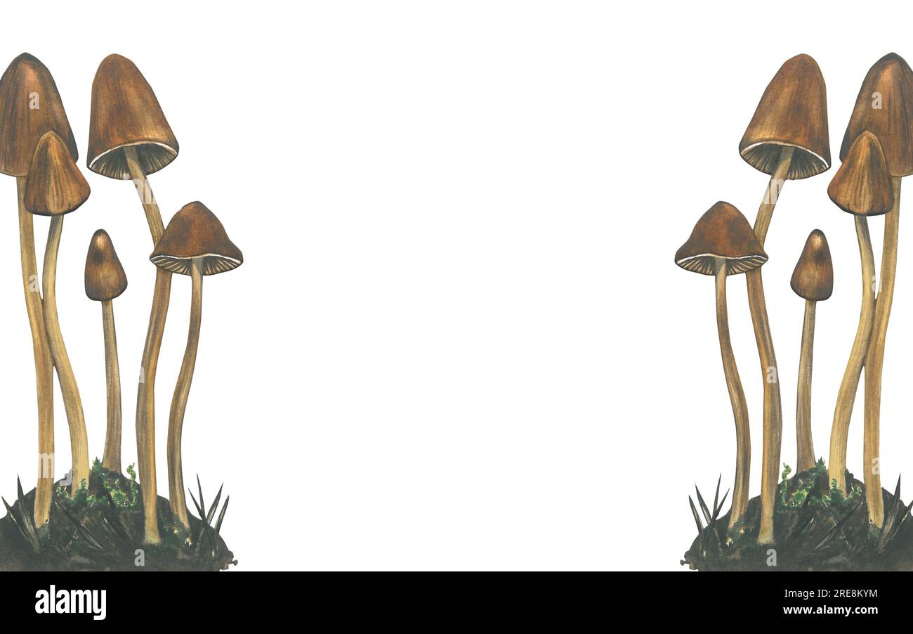 Watercolor illustration horizontal frame of pale toadstools isolated on ...