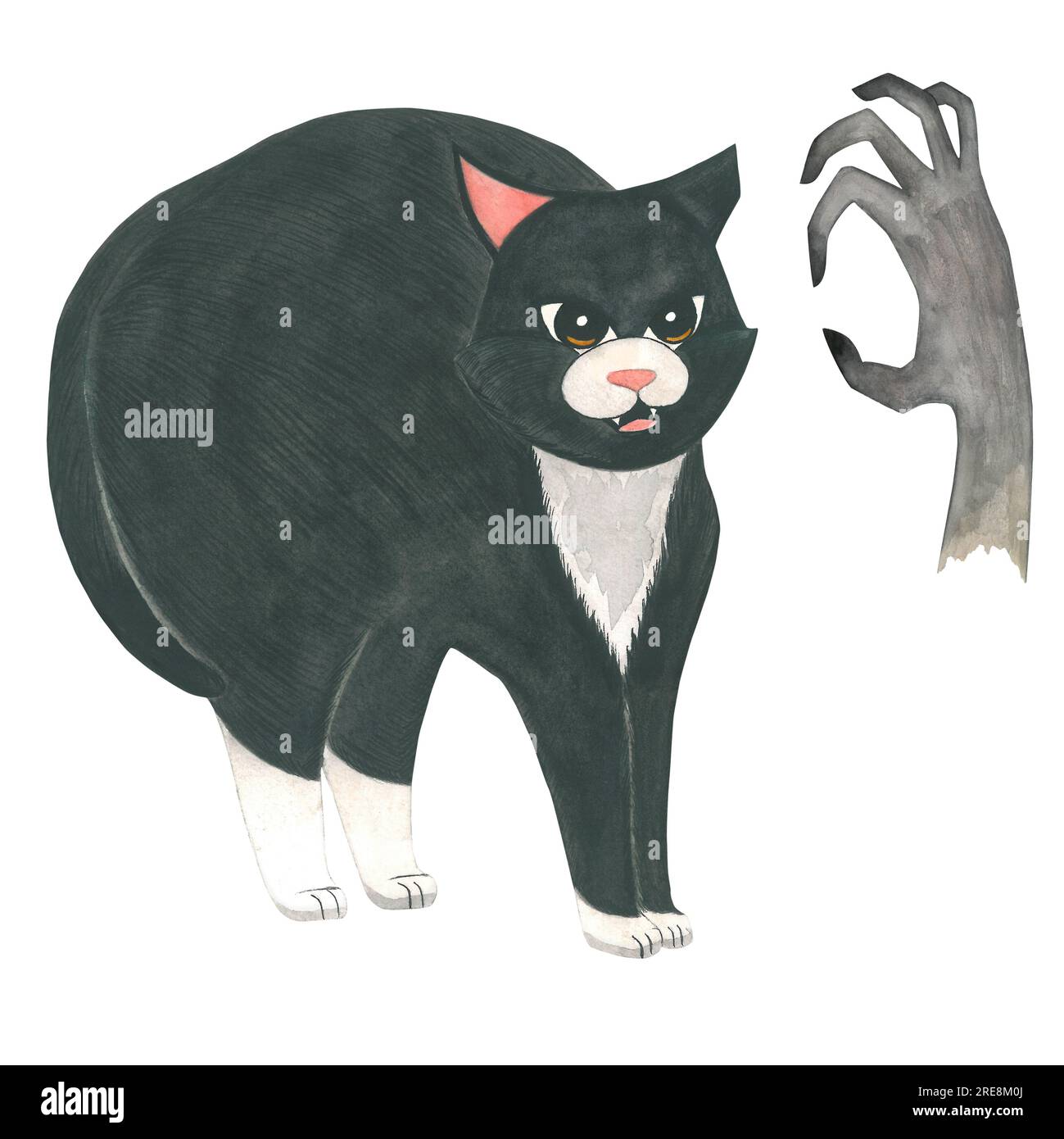 Arched cat hi-res stock photography and images - Alamy