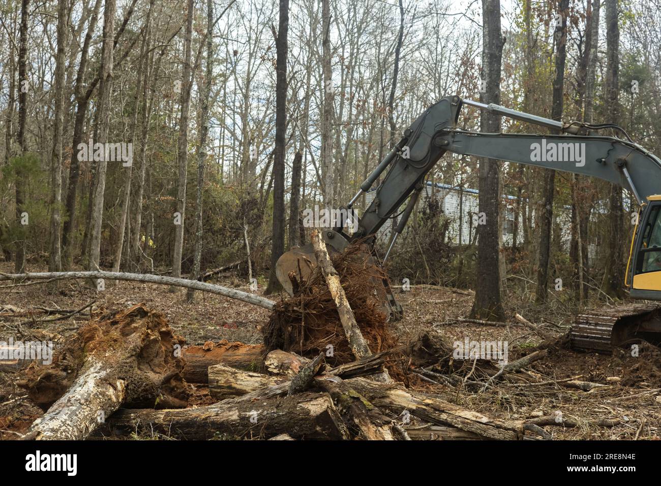 Using an excavator worker is preparing ground by uprooting trees to ...