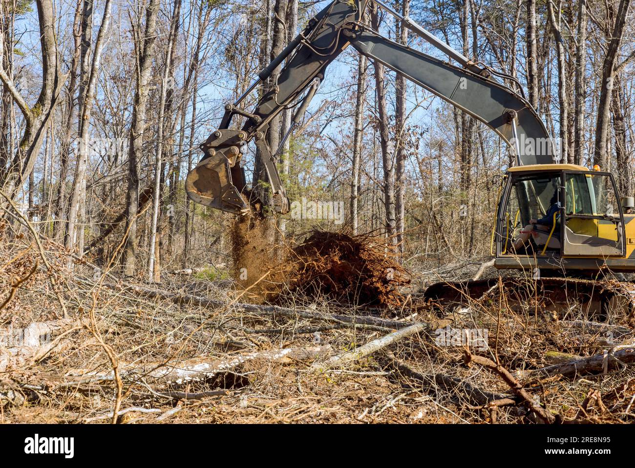 Worker clear uprooted tree hi-res stock photography and images - Alamy