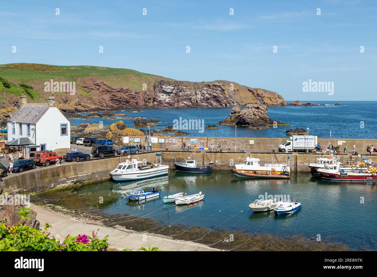 St Abbs harbour in the Scottish Borders with the cliffs of St Abbs head ...
