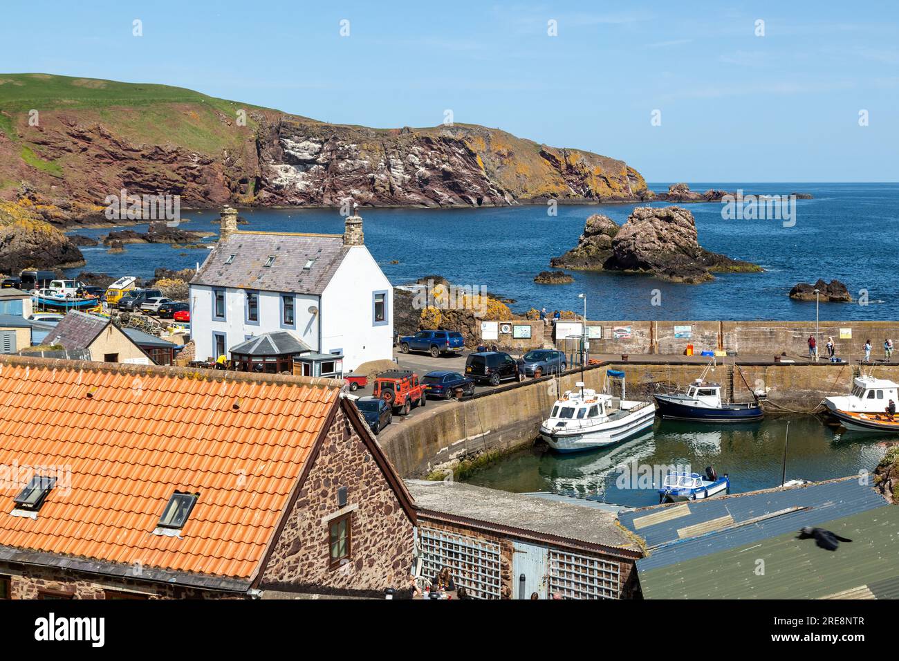 St Abbs harbour in the Scottish Borders with the cliffs of St Abbs head ...