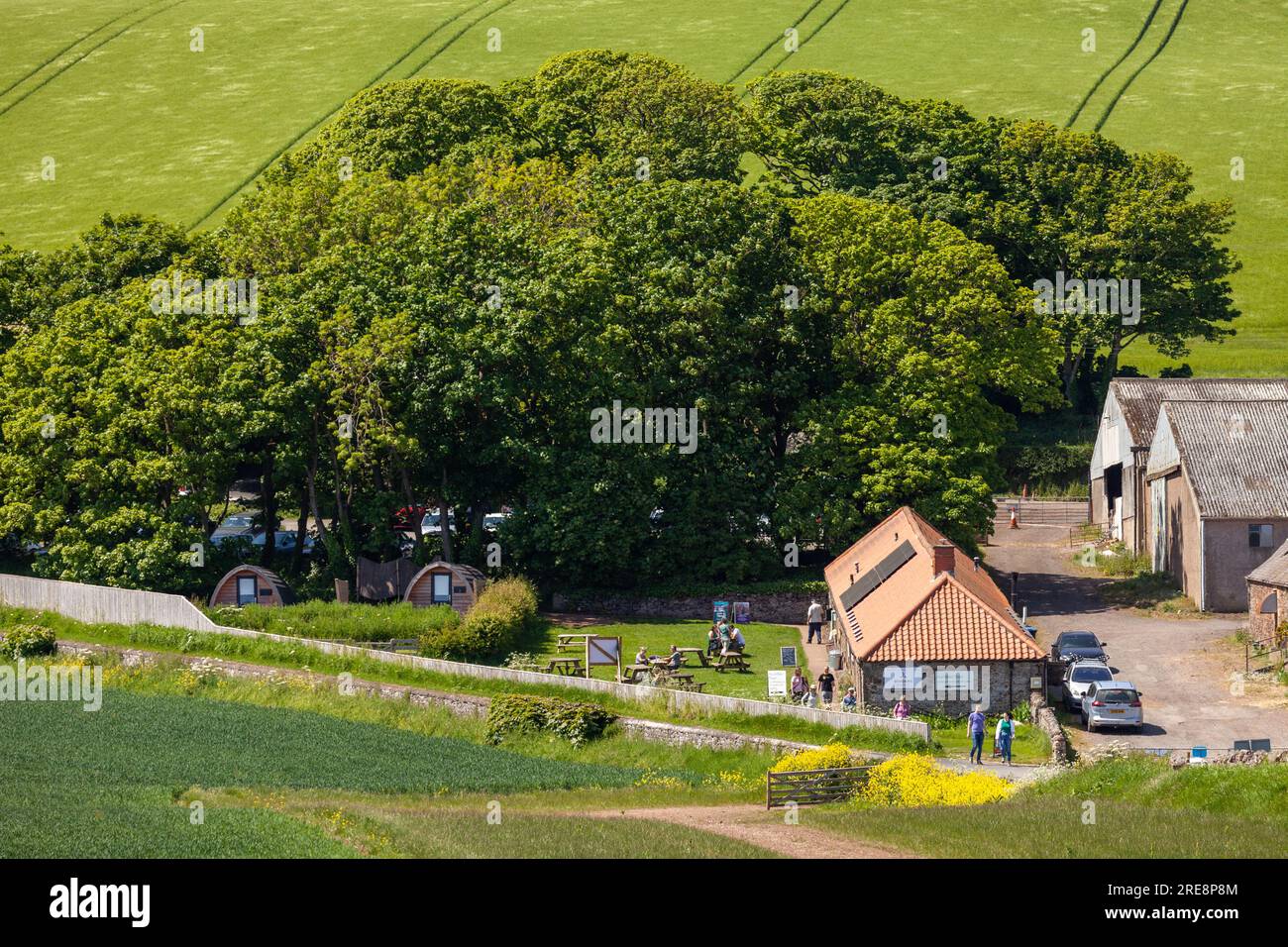 The Old Smiddy Coffee Shop at the start of the St Abbs Nature Reserve ...