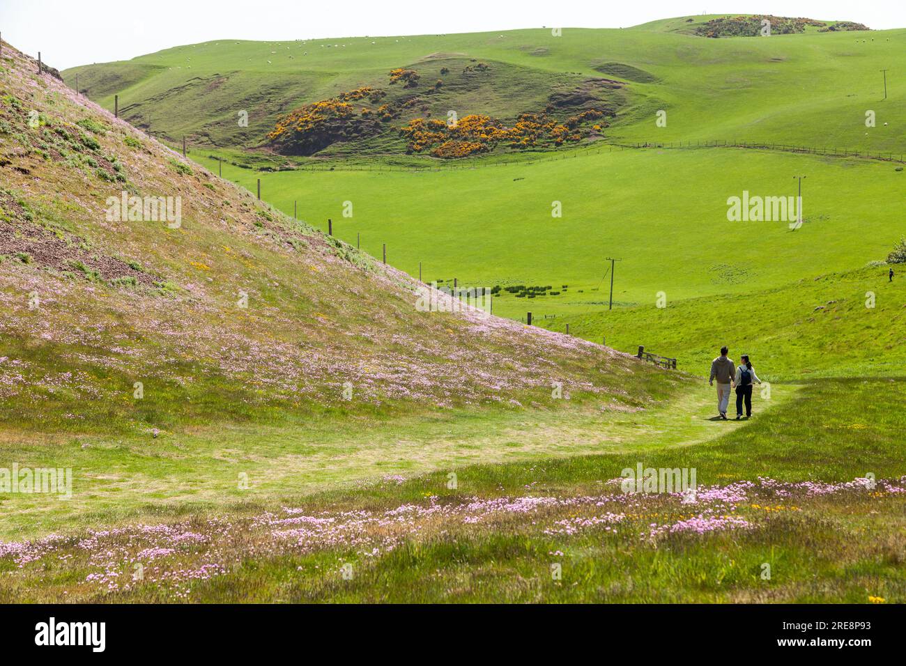 Two people walking along the Berwickshire Coast Path at St Abbs ...
