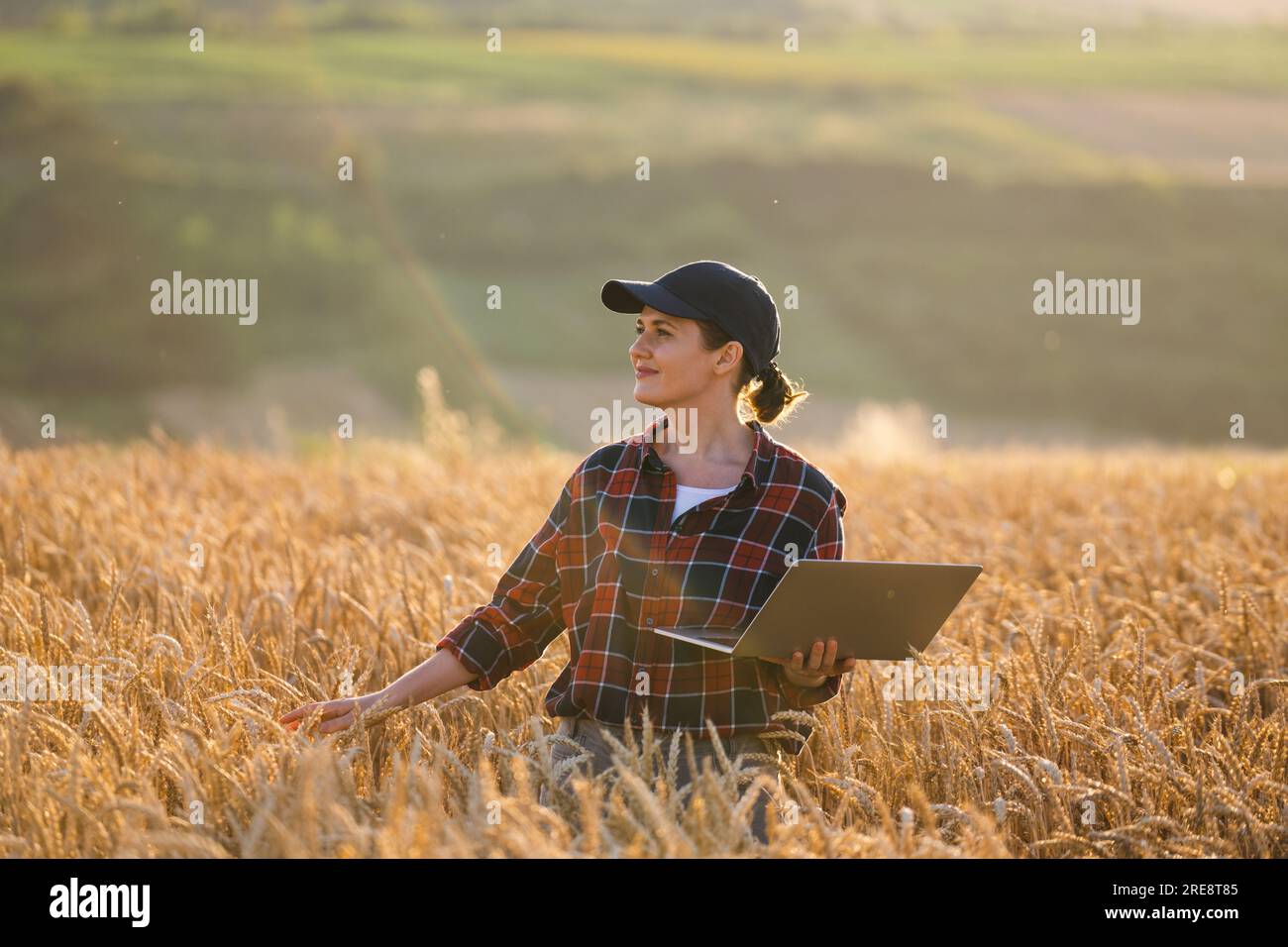 Woman farmer working with laptop on wheat field. Smart farming and ...