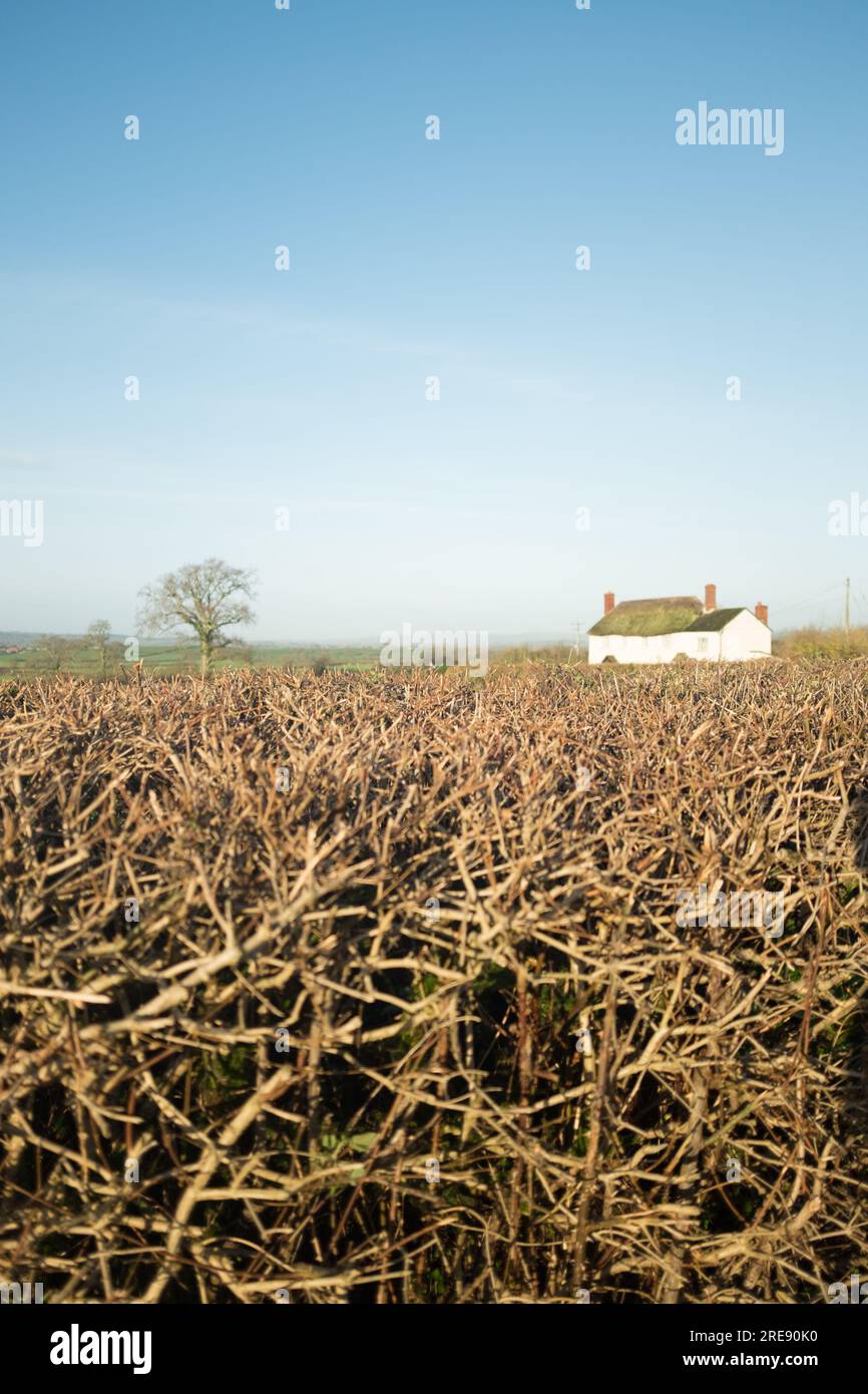 Devon longhouse hi-res stock photography and images - Alamy