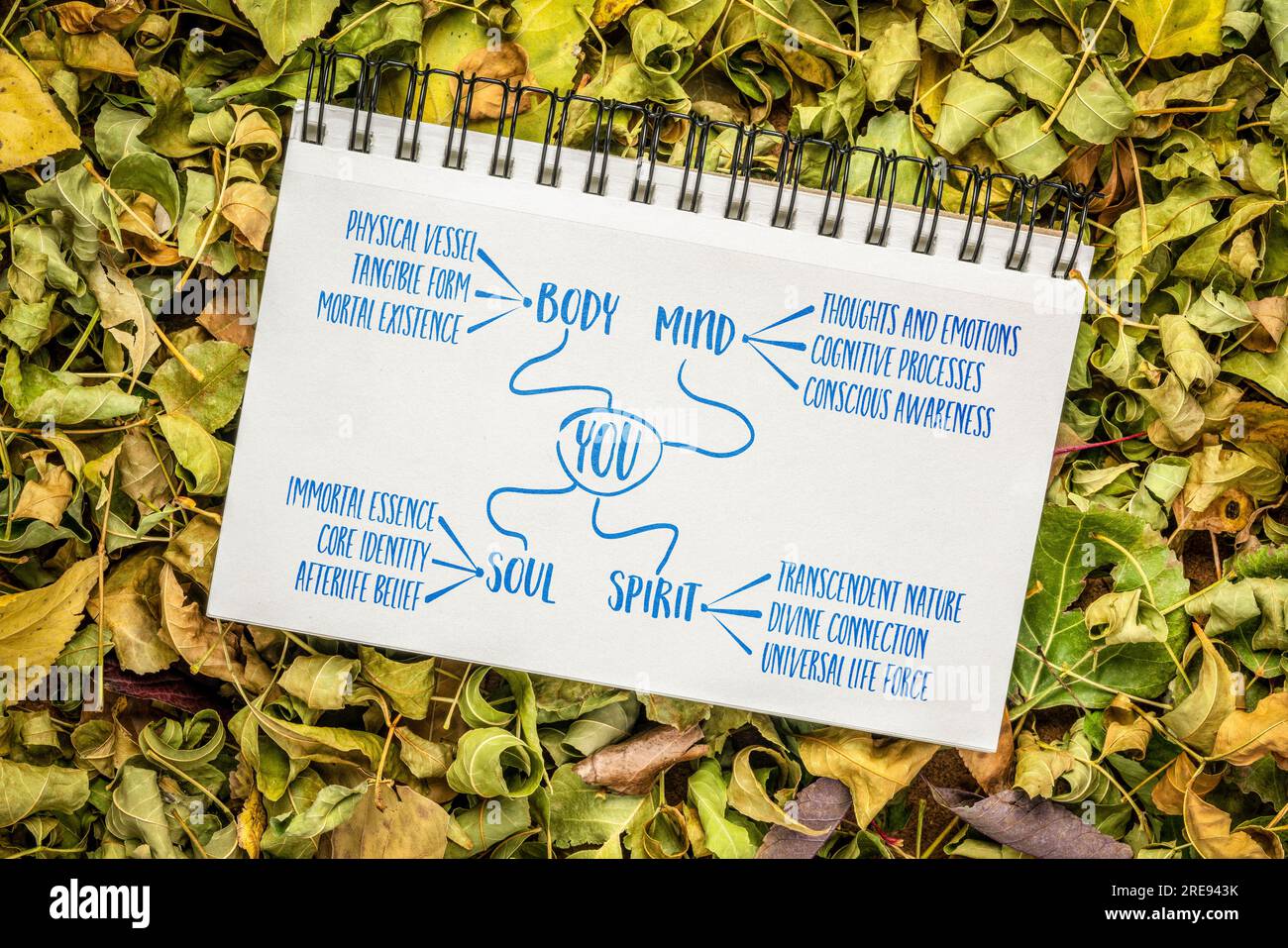 body, mind, soul, spirit and you concept, infographics or mind map in a ...