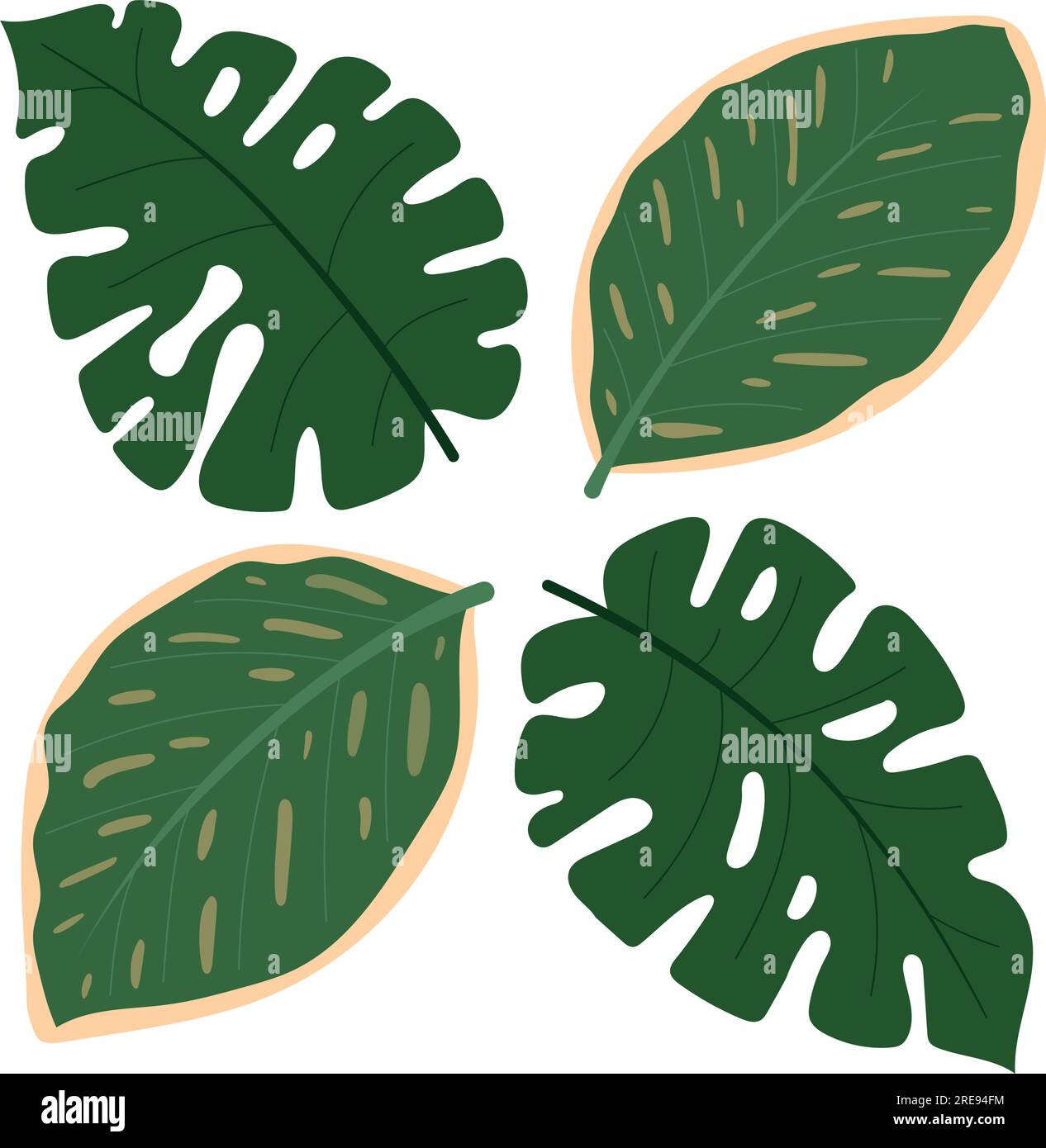 Set of vector tropical leaves monstera and ficus Stock Vector Image ...