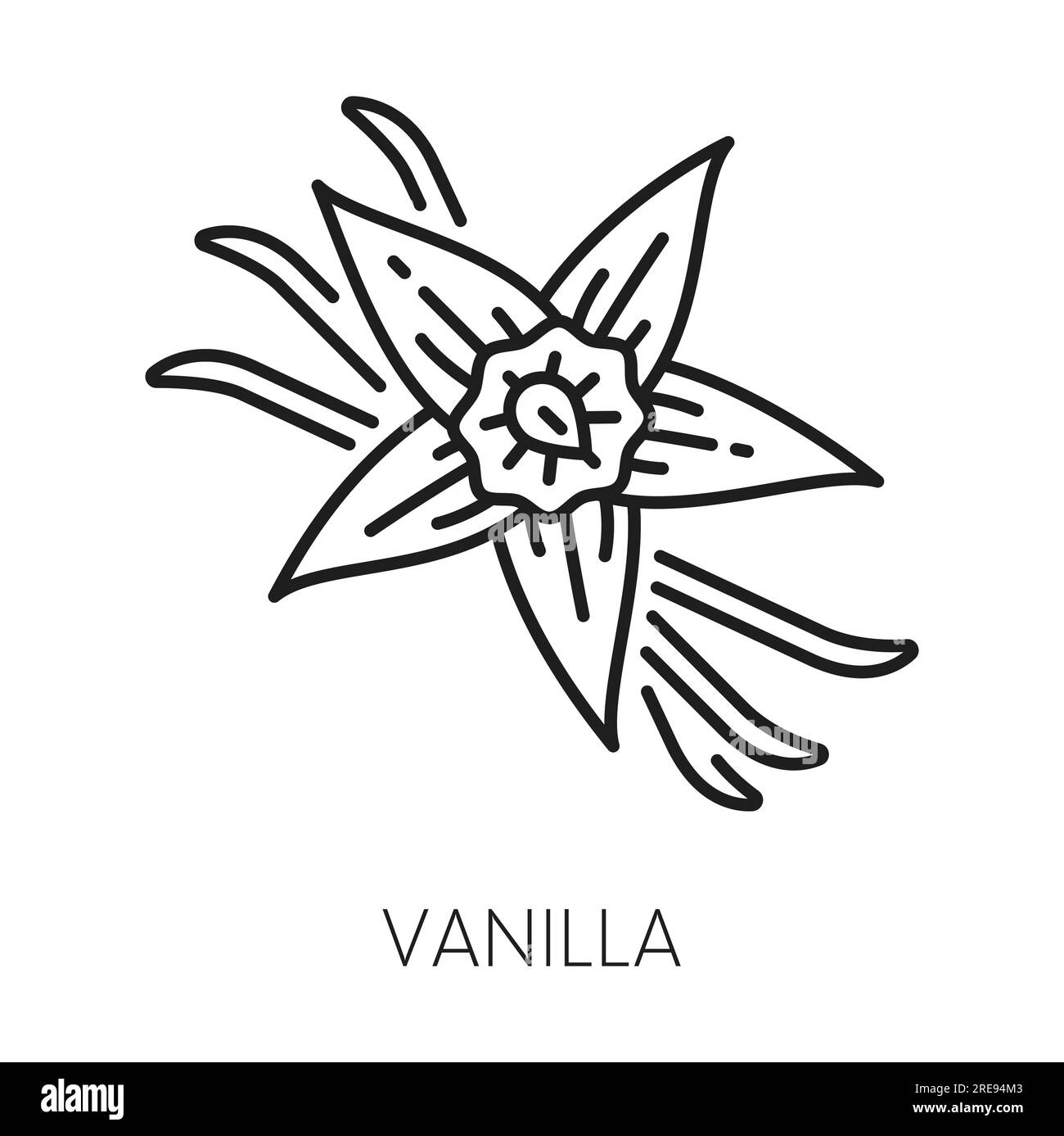 Vanilla Vector Free Download