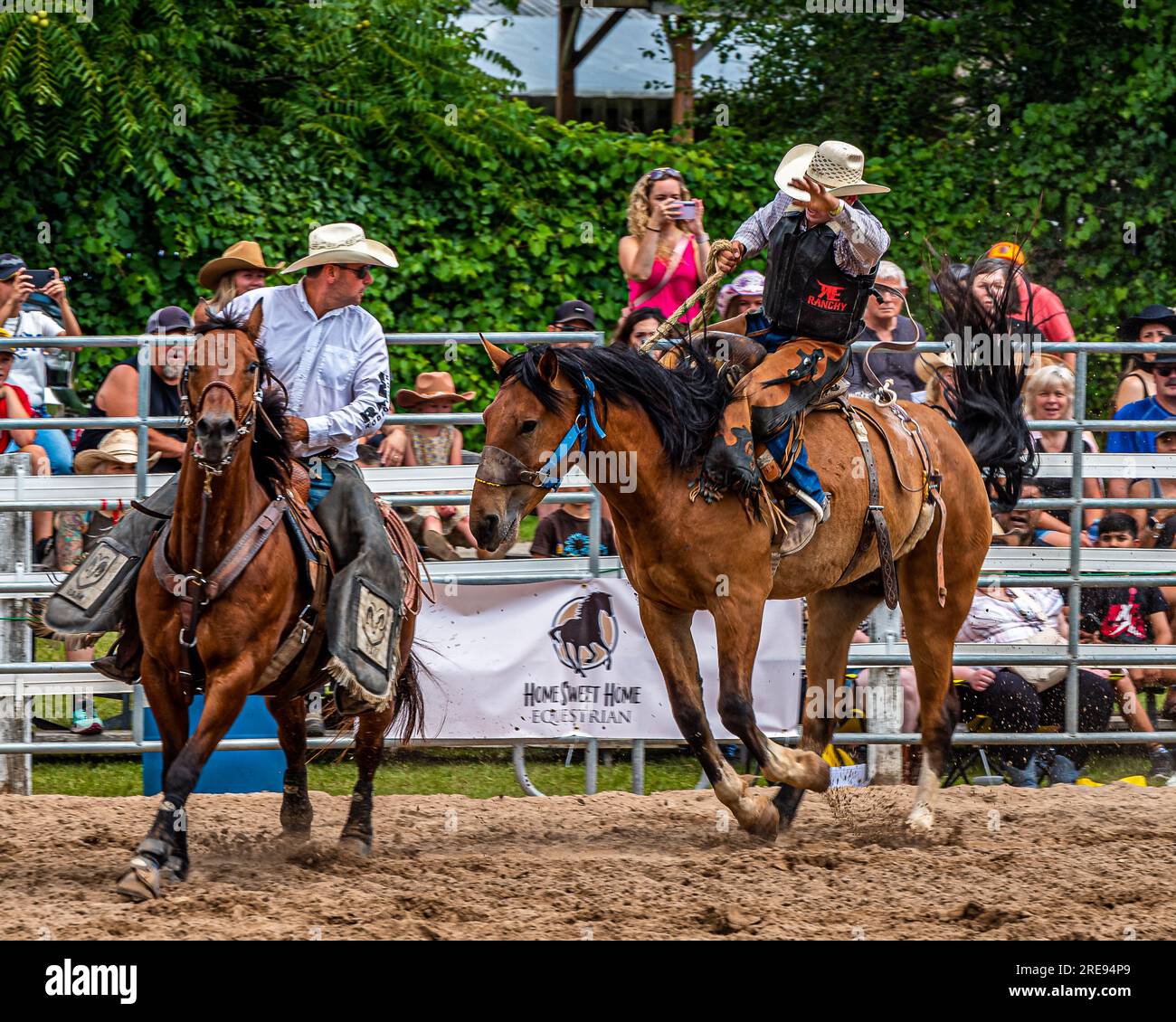 Bareback bronc riding hi-res stock photography and images - Alamy
