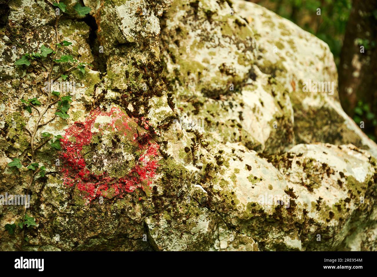 Trekking path red circle sign on the stone in the mountains. Sport ...