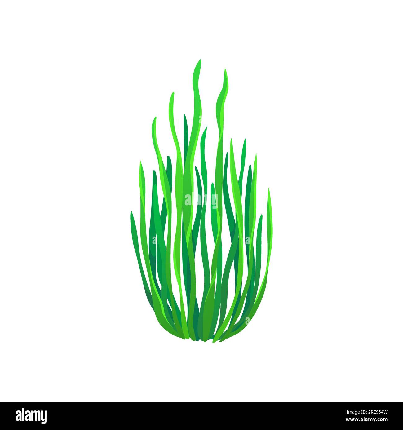 Cartoon underwater Gutweed seaweed plant. Aquarium and sea algae ...