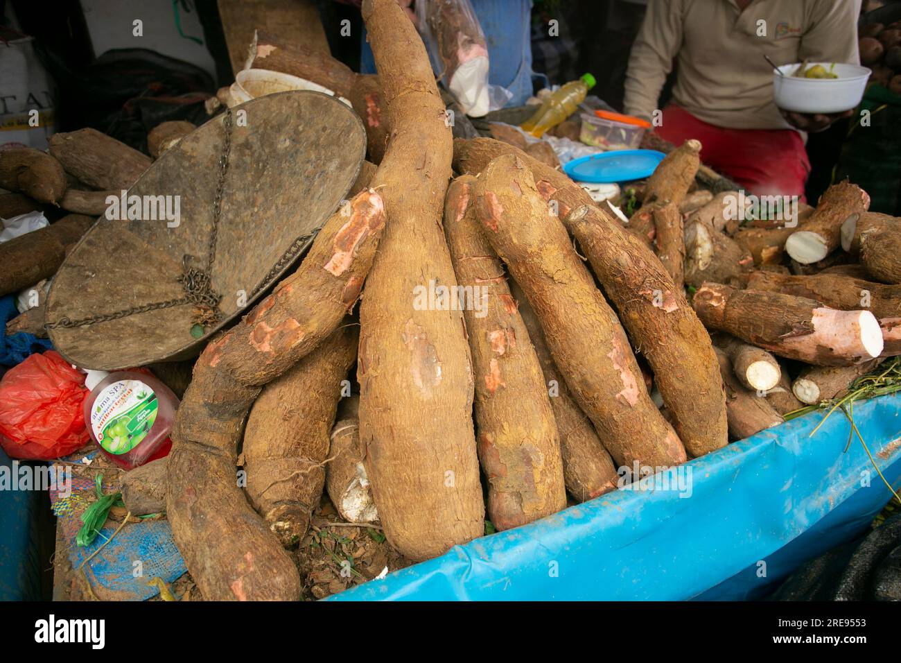 Tapioca root hi-res stock photography and images - Alamy