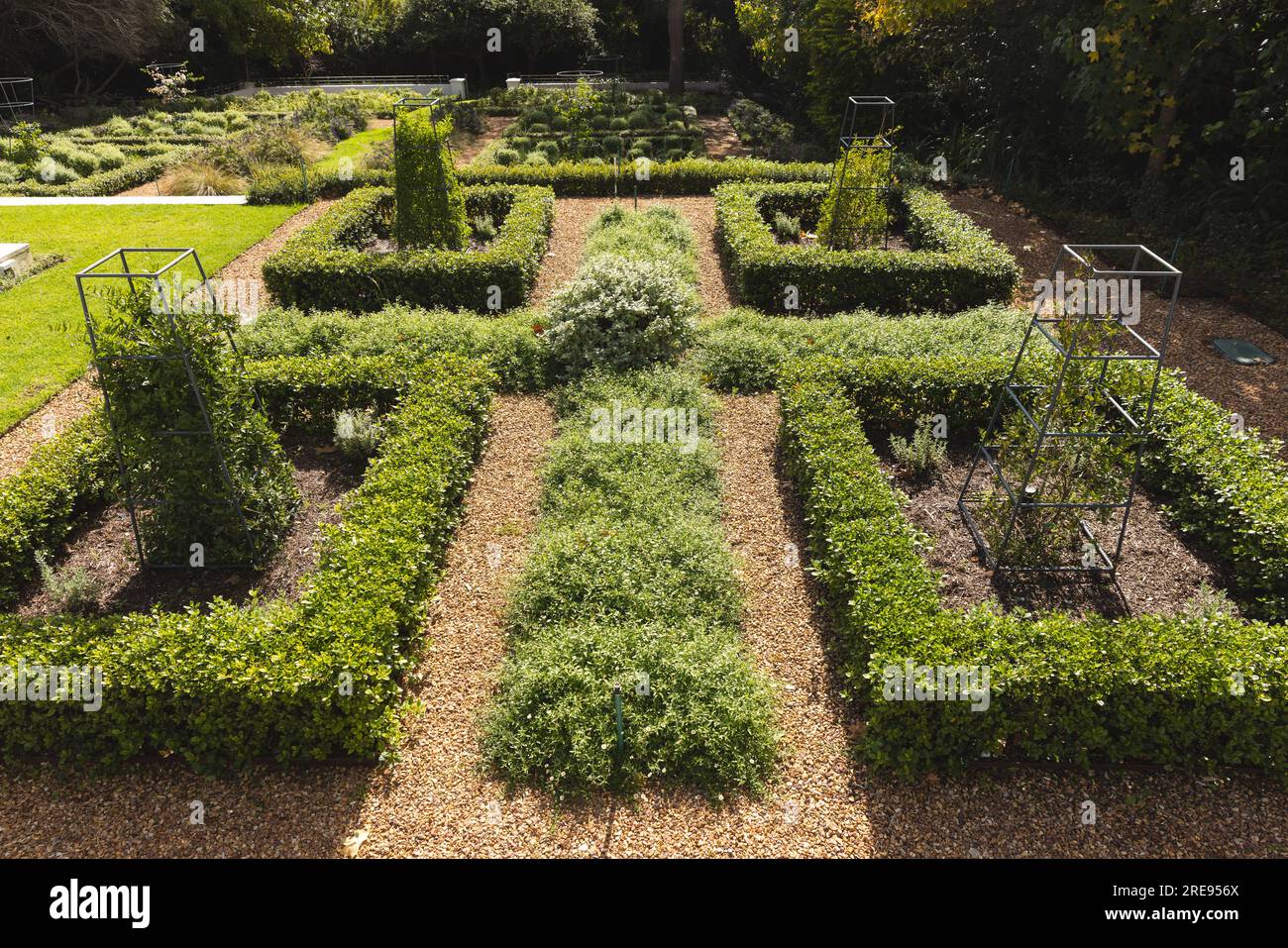 Decorative hedges, gravel paths and lawn in sunny formal garden Stock ...