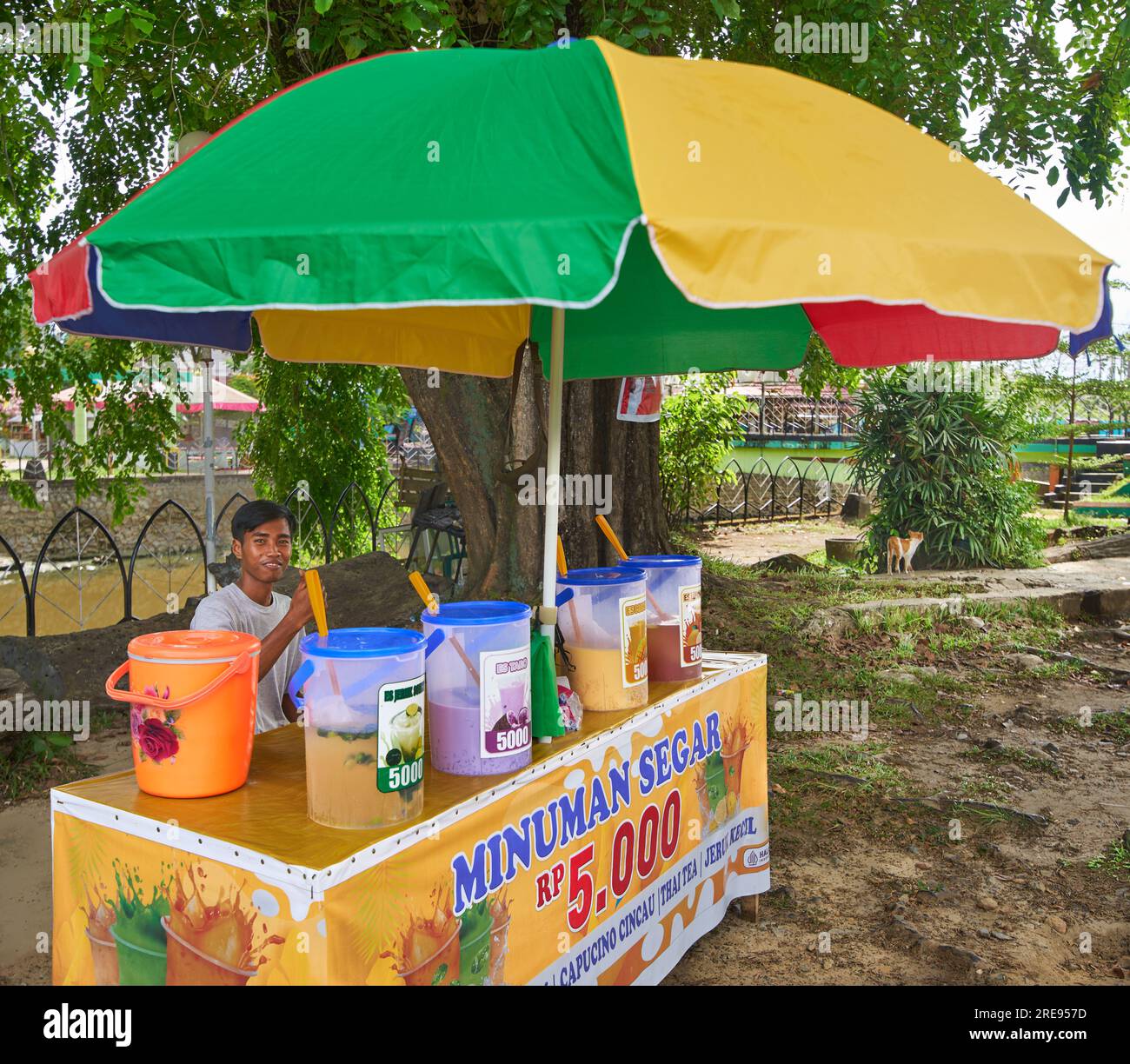 Borneo tea hi-res stock photography and images - Alamy
