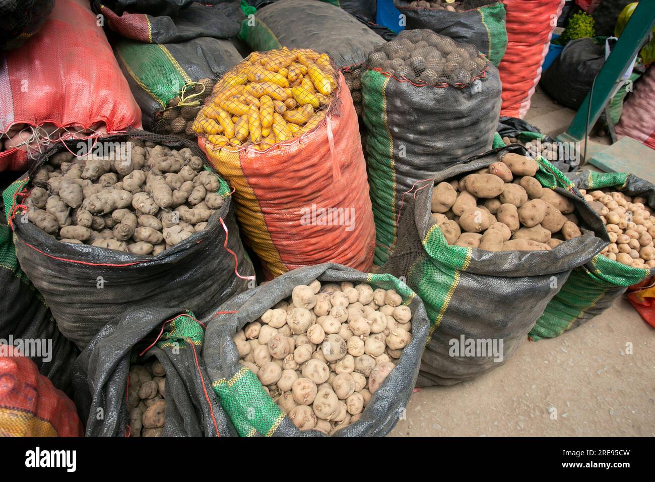 Variety of Peruvian potatoes in the central market of the city of Cusco ...