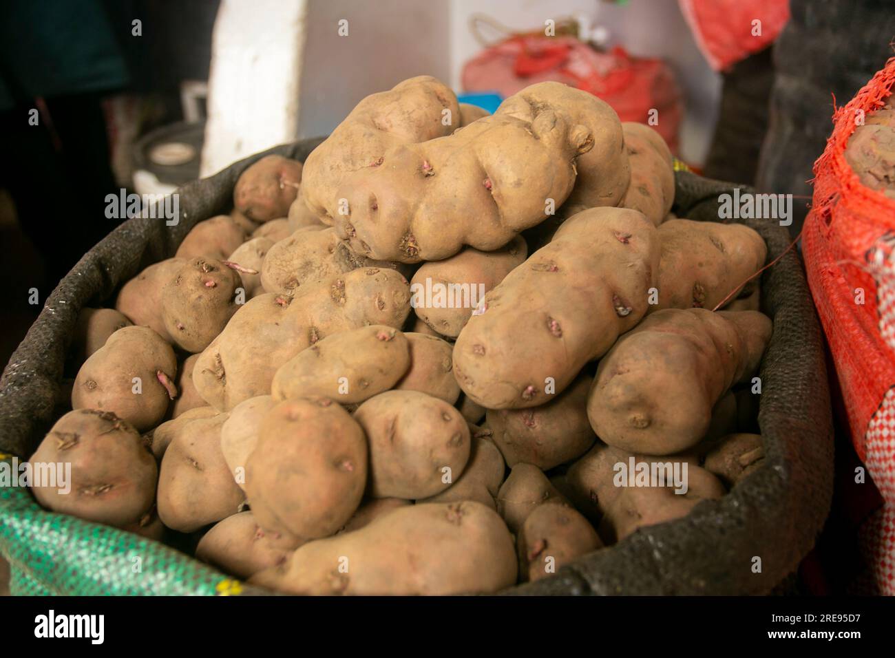 Variety of Peruvian potatoes in the central market of the city of Cusco ...