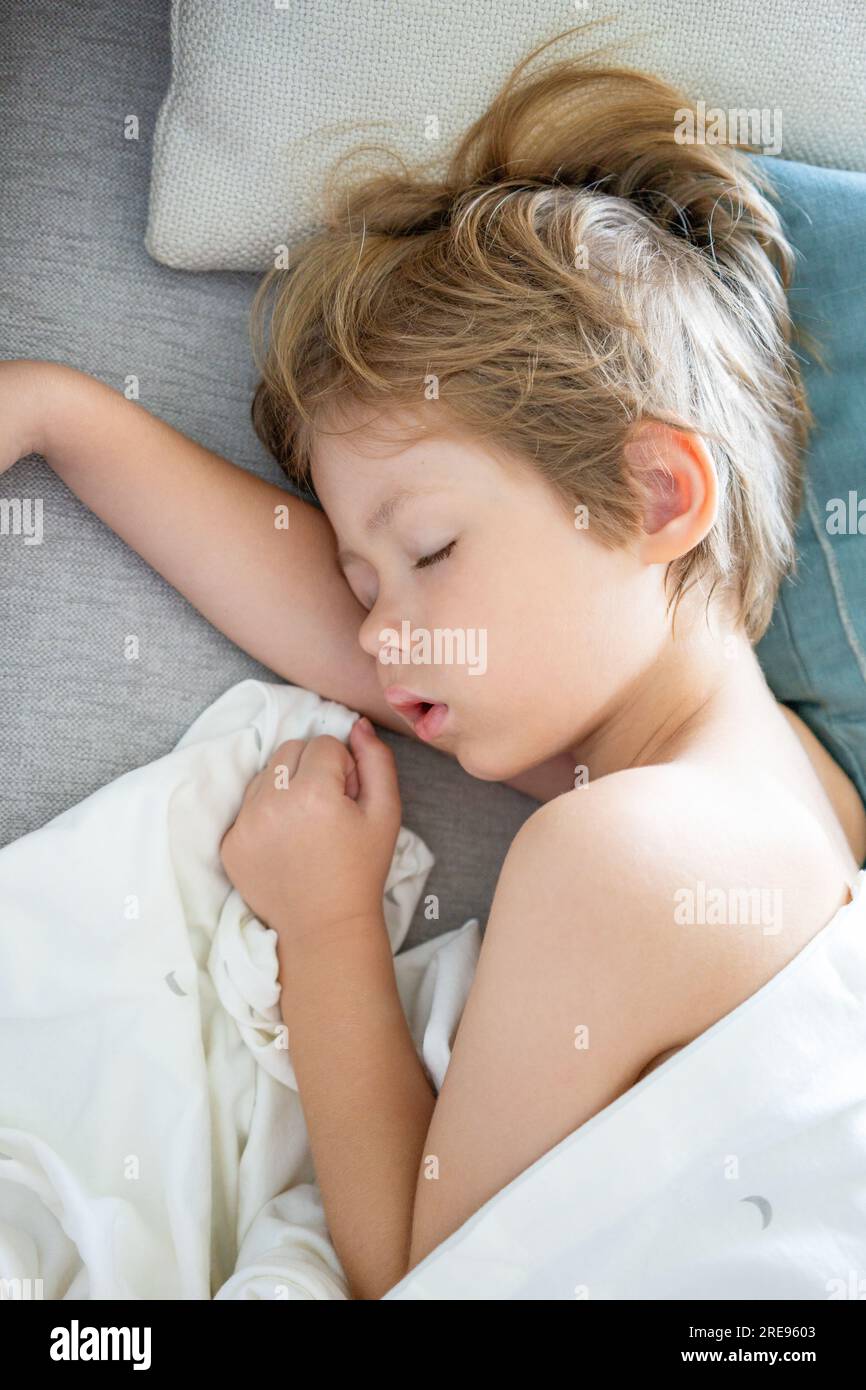 Little boy sleeping on the couch at home in the living room Stock Photo ...