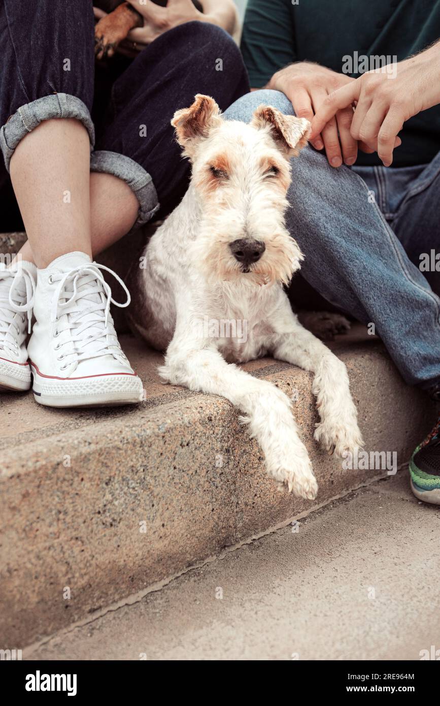 Crop anonymous male and female owners sitting on staircase with white ...