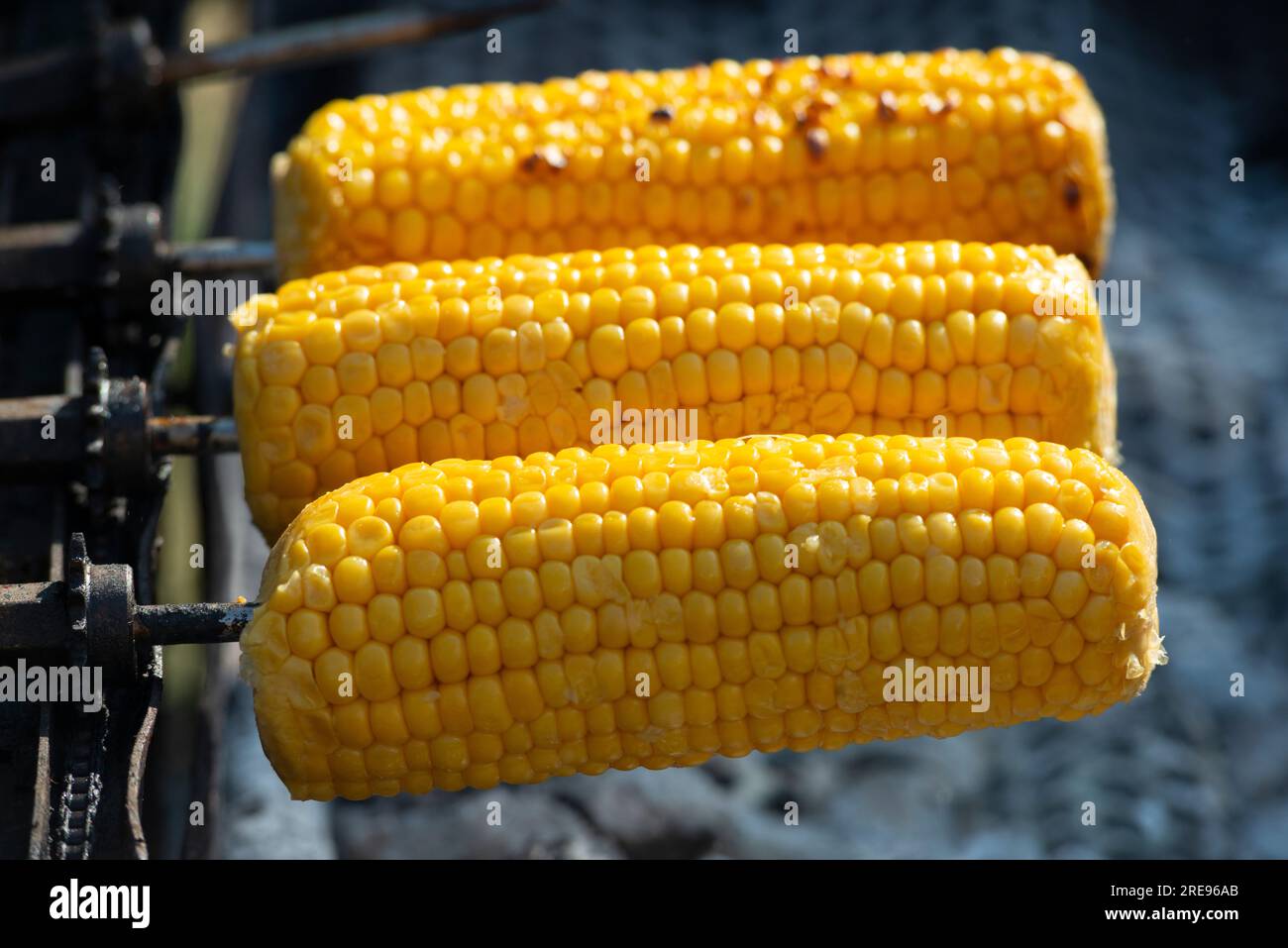Corn for sale on a market stall hi-res stock photography and images - Alamy