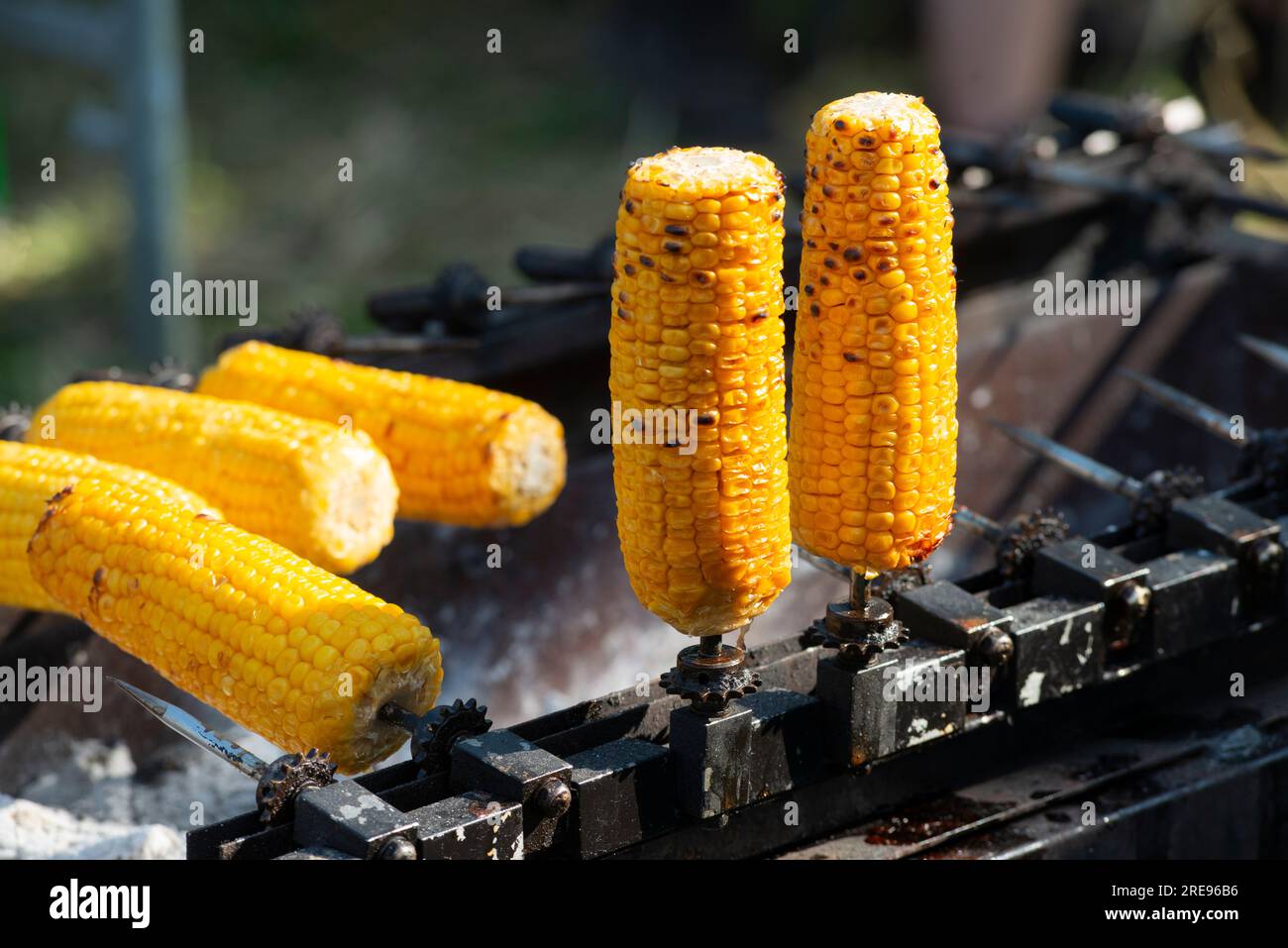 Cooked Corn on Sale on a Market Stall Stock Photo - Alamy