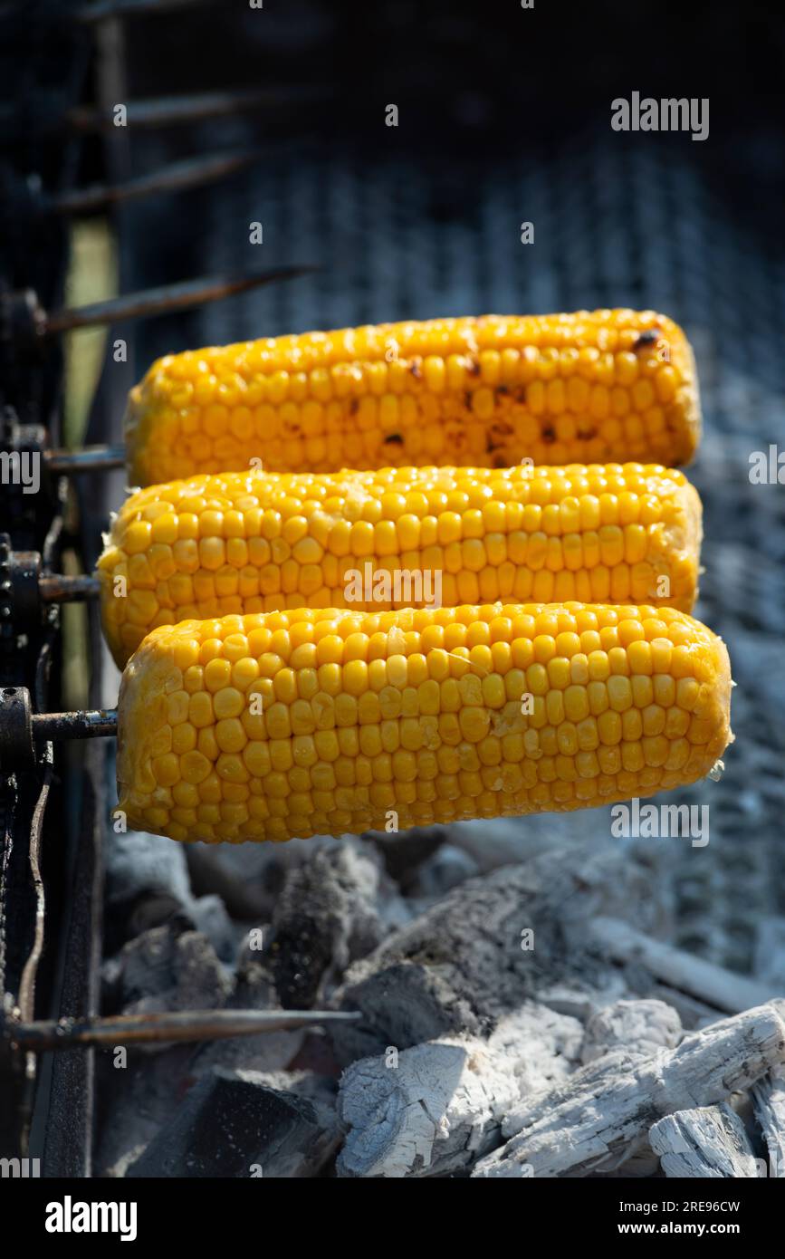 Cooked Corn on Sale on a Market Stall Stock Photo - Alamy