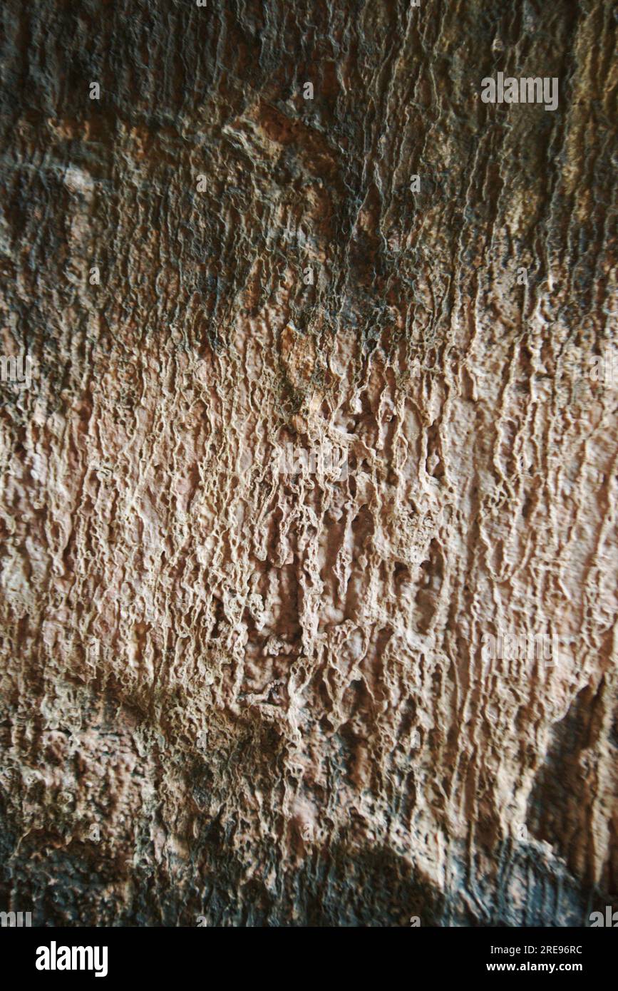 The texture or background of surface of the cliff caused by the ...