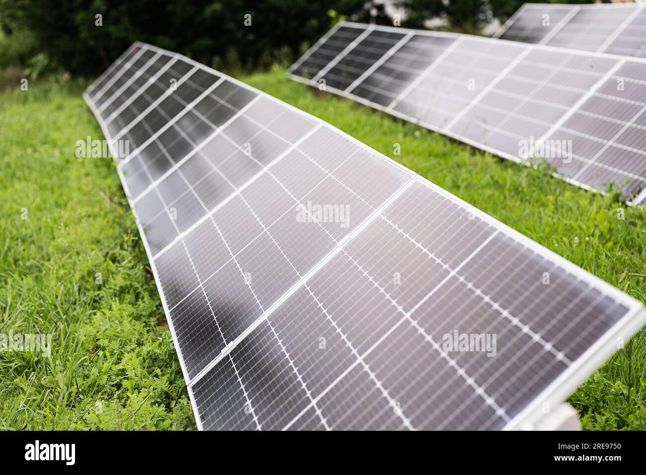 Rows of reflecting non-maintenance solar panels installed on green ...