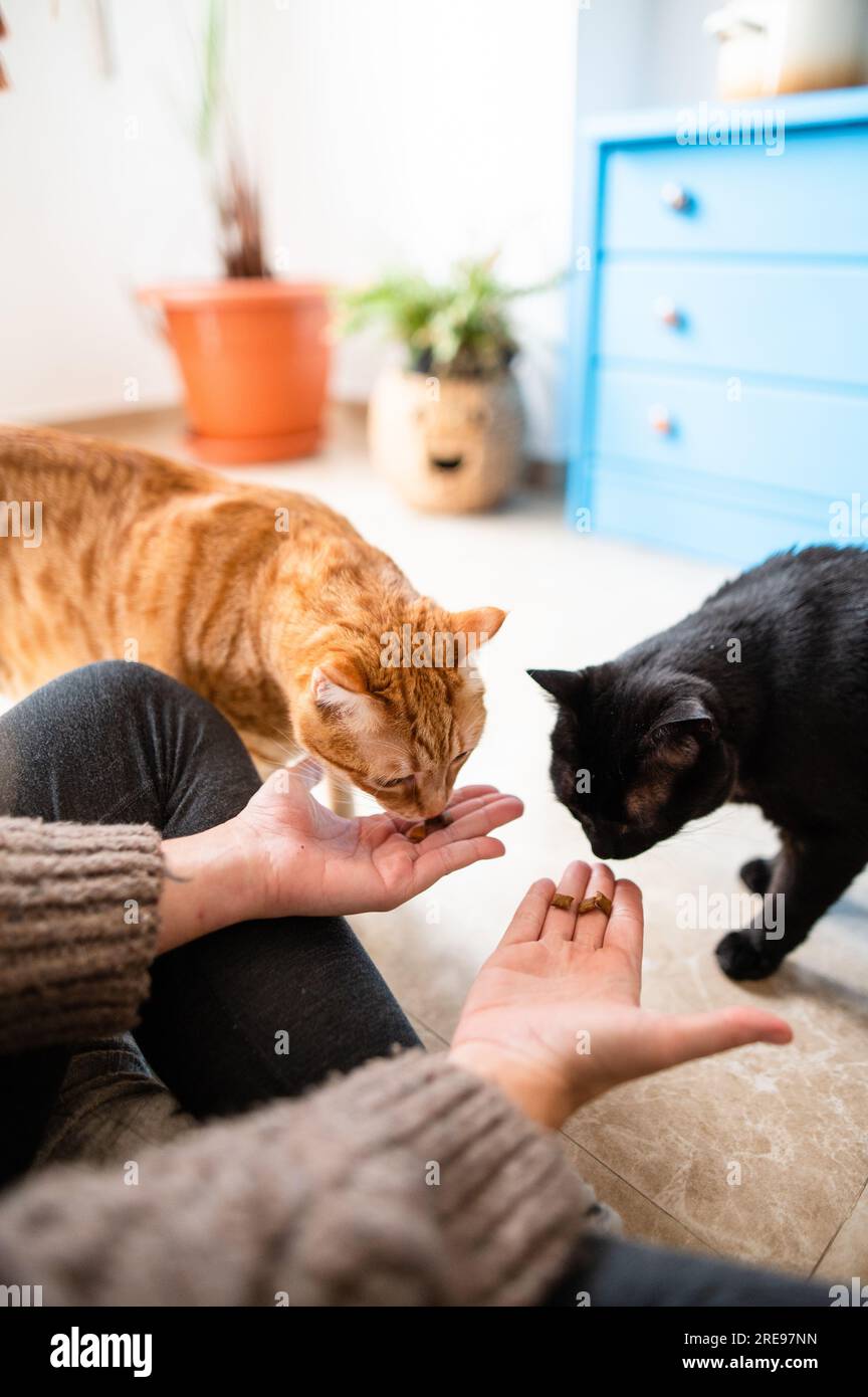 Crop anonymous female owner in cozy clothes sitting on floor with ...